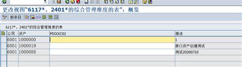 sap abap sm30自建表维护如何控制某个字段不可输入，如何自动带出描述，如何校验数据准确性 abap中sm30如何设置可编辑不可编辑