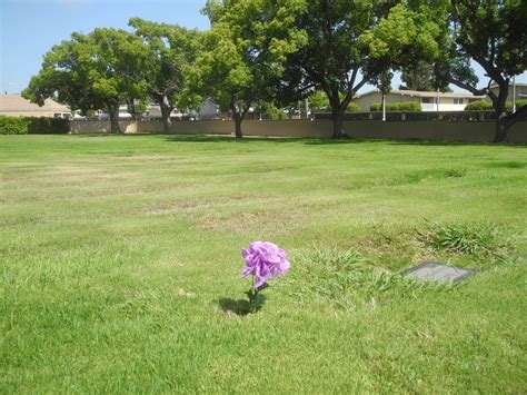Mary Genevieve Wilson 1920 1945 Find A Grave Memorial