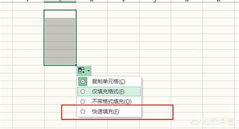 Excel如何实现快速自动填充数据？ 天天办公网