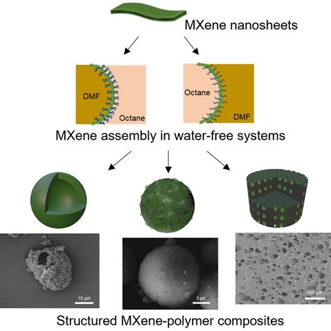Structured Ti3c2tz Mxene Polymer Composites From Non Aqueous Emulsions