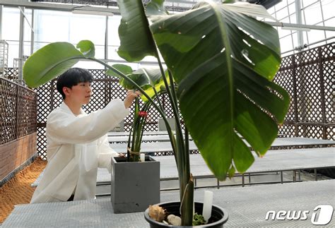 입원한 식물 살펴보는 식물의사