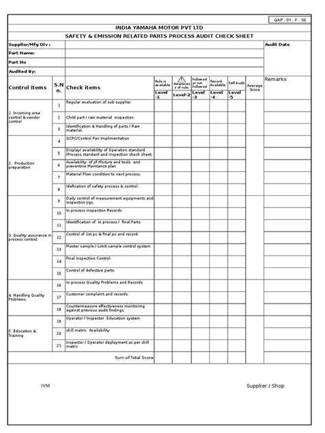 6s Audit Template