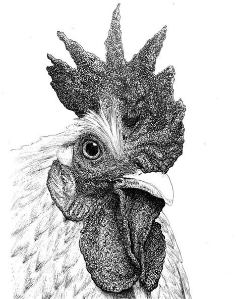 Pin By Solanj On графика анимал Stippling Art Stippling Drawing Cool Pencil Drawings