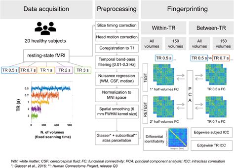 Analysis Workflow Resting State Fmri Data Were Acquired For Each Download Scientific Diagram