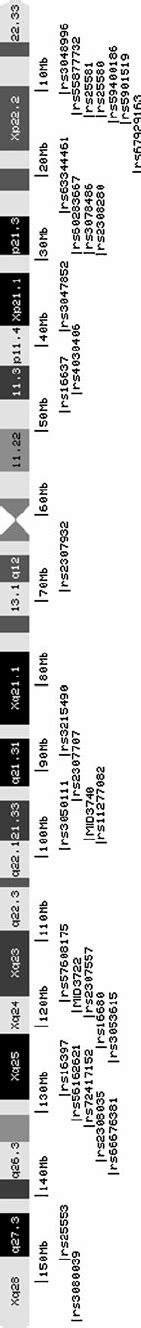 Ideogram Of The X Chromosome Indicating The Location Of The 32 Selected