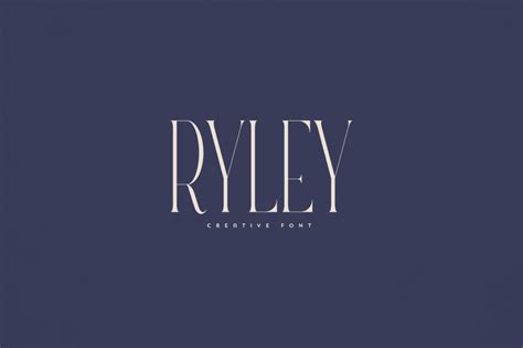 Rylei Font · 1001 Fonts