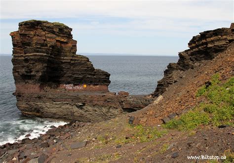 Bitstop Grebes Nest Bell Island