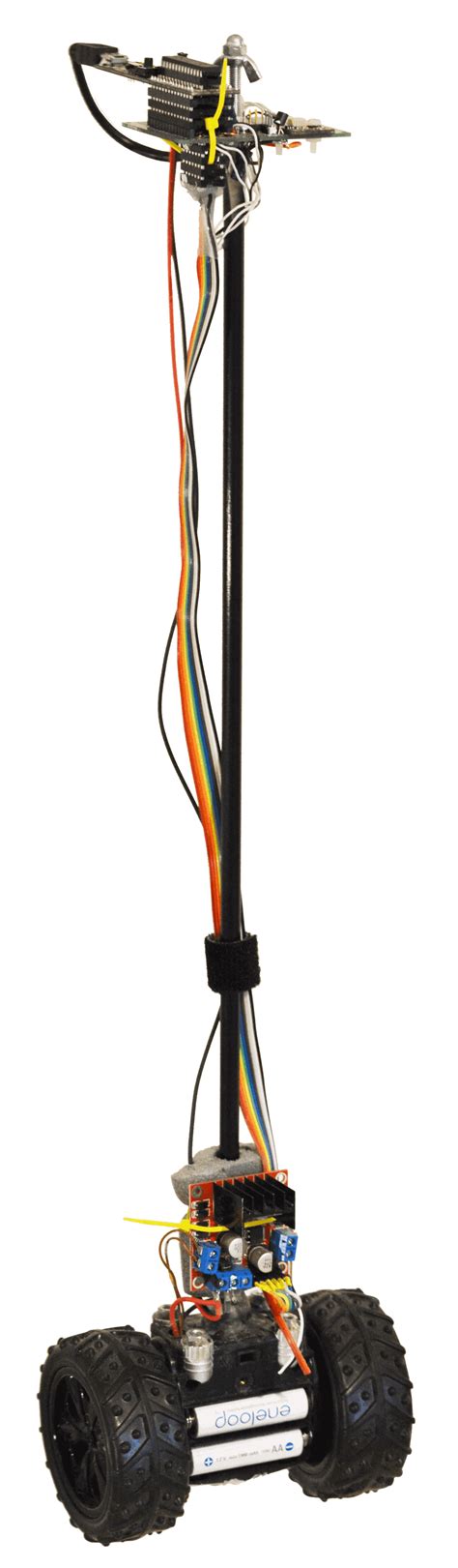 Inverted Pendulum Rapid Control Prototyping