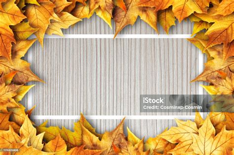 흰색 으로 칠해진 소박한 헛간 나무 공백 배경에 다채로운 가을 건조 잎 테두리 프레임 복사 텍스트 레터링에 대한 빈 공간입니다 수평 엽서 템플릿 10월에 대한 스톡 사진 및