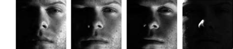 Image Samples From Extended Yale Face Database B Database Download