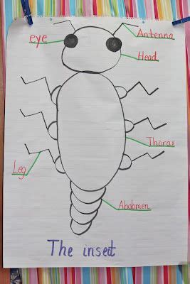 Insect Thinking Map Thinking Maps Thinking Map Elementary Art