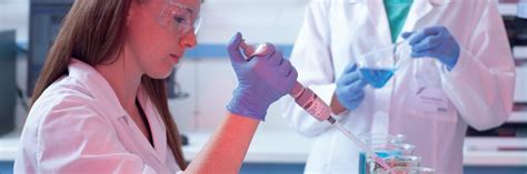 Protocolo Hpp Green Has Iberia