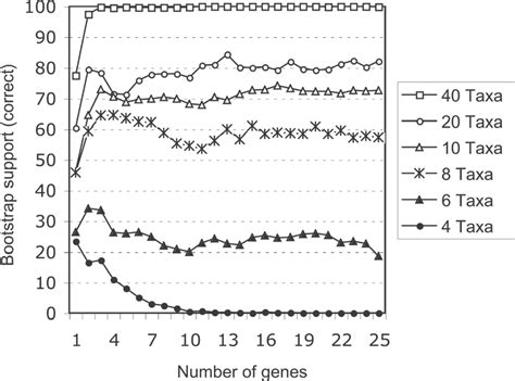 Table 1 From The Molecular Phylogeny Of Placental Mammals And Its
