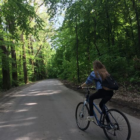 Pin On Mood Biking Aesthetic Bike Riding Aesthetic Bicycle Aesthetic