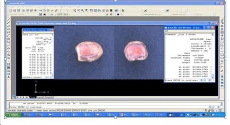 Calculated Projected Area By AutoCAD Program Download Scientific Diagram