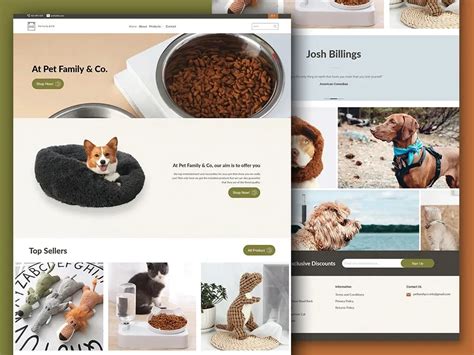 Shopify Store Designer Shopify Expert Shopify Developer Upwork