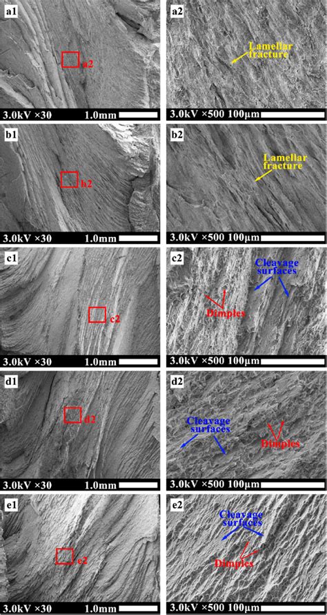 Fracture Surfaces Of The Friction Stir Weld Joints In Different