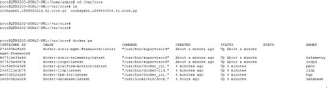 iccpd service is not running in the image built from latest sonic