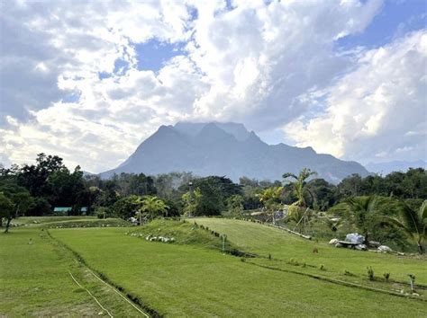 태국 치앙마이 재키 파크골프 숙박라운딩 줌줌투어 태국 치앙마이