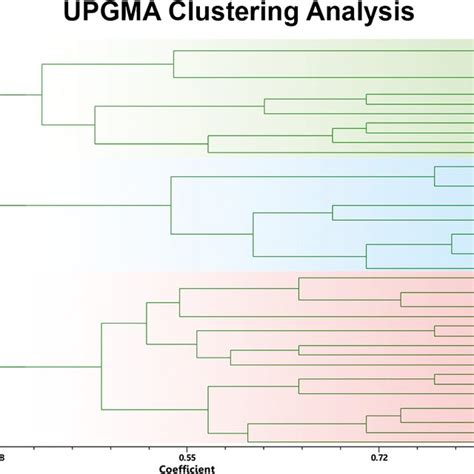dendrogram from the upgma clustering analysis representing three