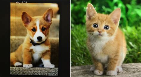 Tensorflow For Ios のモデルについて 機械学習 Qiita