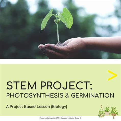 Stem Project Photosynthesis And Germination Pbl Ngss Aligned Tpt