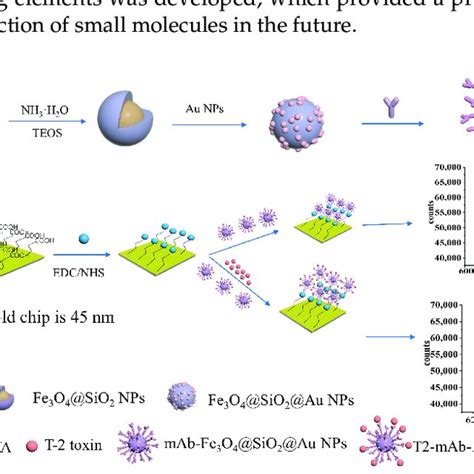 A Flow Chart Of Synthesis Process Of Fe 3 O 4 Sio 2 Aunps And A Download Scientific Diagram
