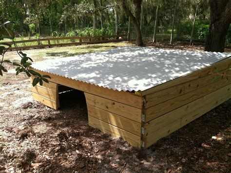 12 Tortoise Habitat Ideas Tortoise Habitat Tortoise Tortoise House