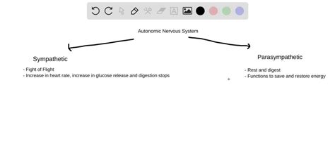 Solved How Does Atropine Cause Both Bradycardia And Tachycardia Which Effect Is The Most Common