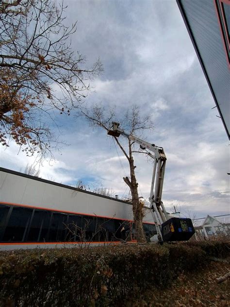Рязане на опасни дървета Селскостопански Градински Пловдив Цялостно рязане и подкаст