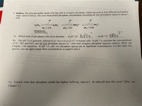 Solved Buffers The Principle Buffer Inside Of Living Chegg