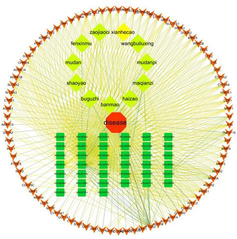 Bioinformatics Based And Multiscale Convolutional Neural Network