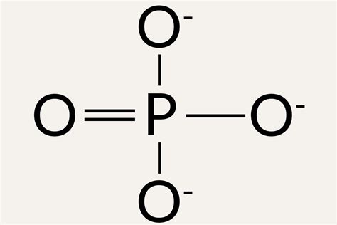 Polyatomic Ion
