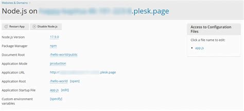 Plesk Node Js Setup