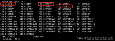 linux进程和计划任务管理 linux有和任务计划程序一样的软件吗 csdn博客