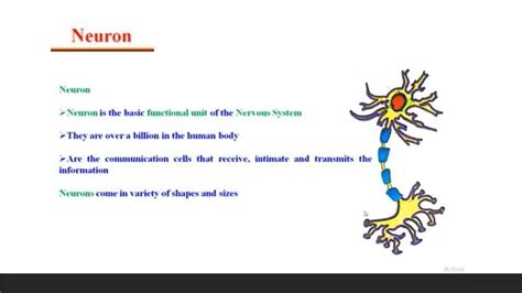Biomedical Signal Processing In Human Body System Pptx