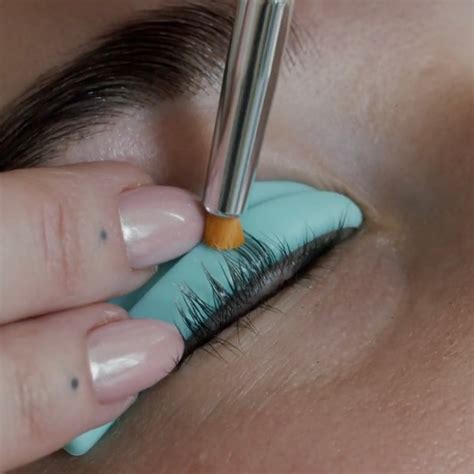 Lash Elevation Brush Mrshighbrow