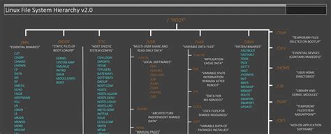 Linux File System Hierarchy V20 Blackmore Ops Mwender