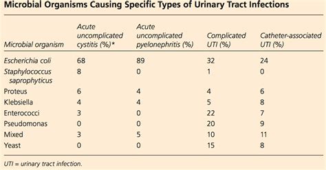 Pyelonephritis Its Not Always So Straightforward Emdocs Pyelonephritis Its Not Always So Straightforward Emdocs