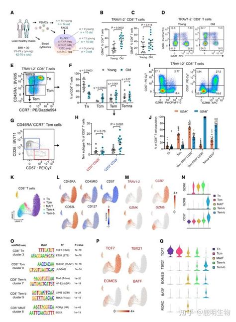 免疫学一区顶刊：质谱流式单细胞蛋白组学揭示免疫衰老保守标志物 知乎