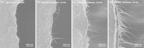 Sem Micrographs Of The Fracture Edges After Tensile Testing Of A Ag