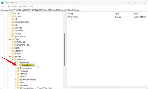 Enable Enhanced Anti Spoofing In Windows Hello Geek Rewind
