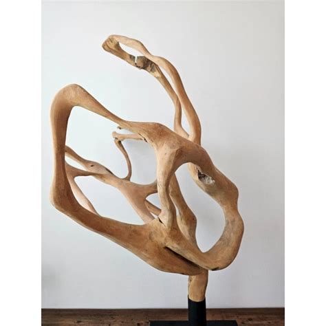 Large Organic Free Form Teak Root Wood Sculpture Chairish