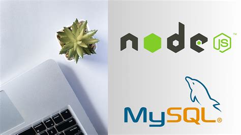 connecting node js and mysql a simple guide for robust applications