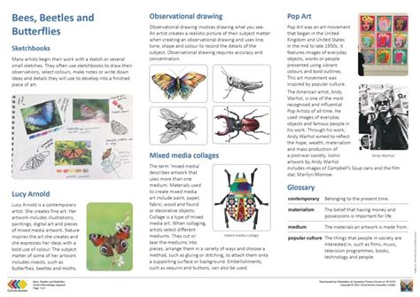 Bees Beetles And Butterflies Gamesley Primary School
