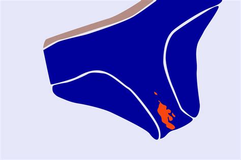 Period Sex 101 With Here We Flo I CHEEX