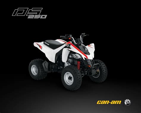 Can Am Brp Ds 250 2008 2009 Specs Performance And Photos Autoevolution