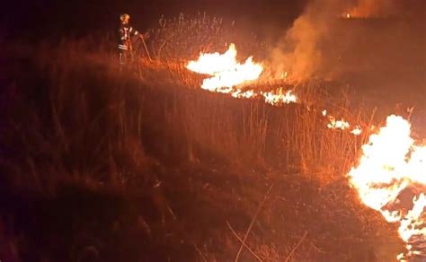 Пожежа на Осокорківських луках поліція відкрила кримінальну справу Вечірній Київ