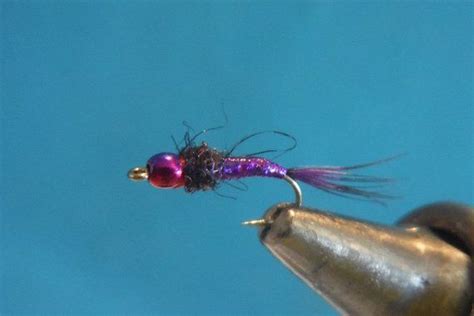Purple Rain Nymph Size 183 Pack Etsy