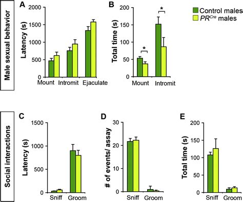 Sexually Dimorphic Neurons In The Ventromedial Hypothalamus Govern Mating In Both Sexes And